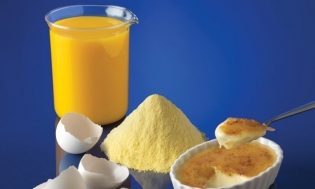 Liquid Egg Yolk | DairyKo Wholesale Dairy & Food Produce